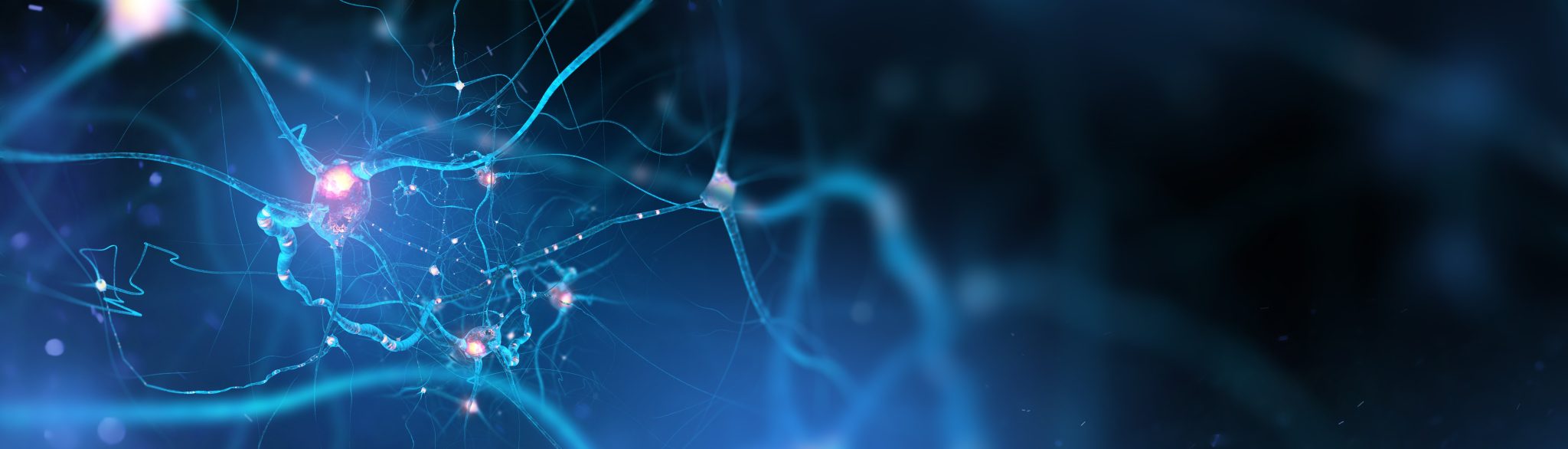 Neuropsychology - Pacific Medical Centers